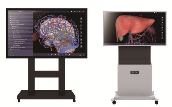 Unleashing the Power of 3D Table in Anatomy Education