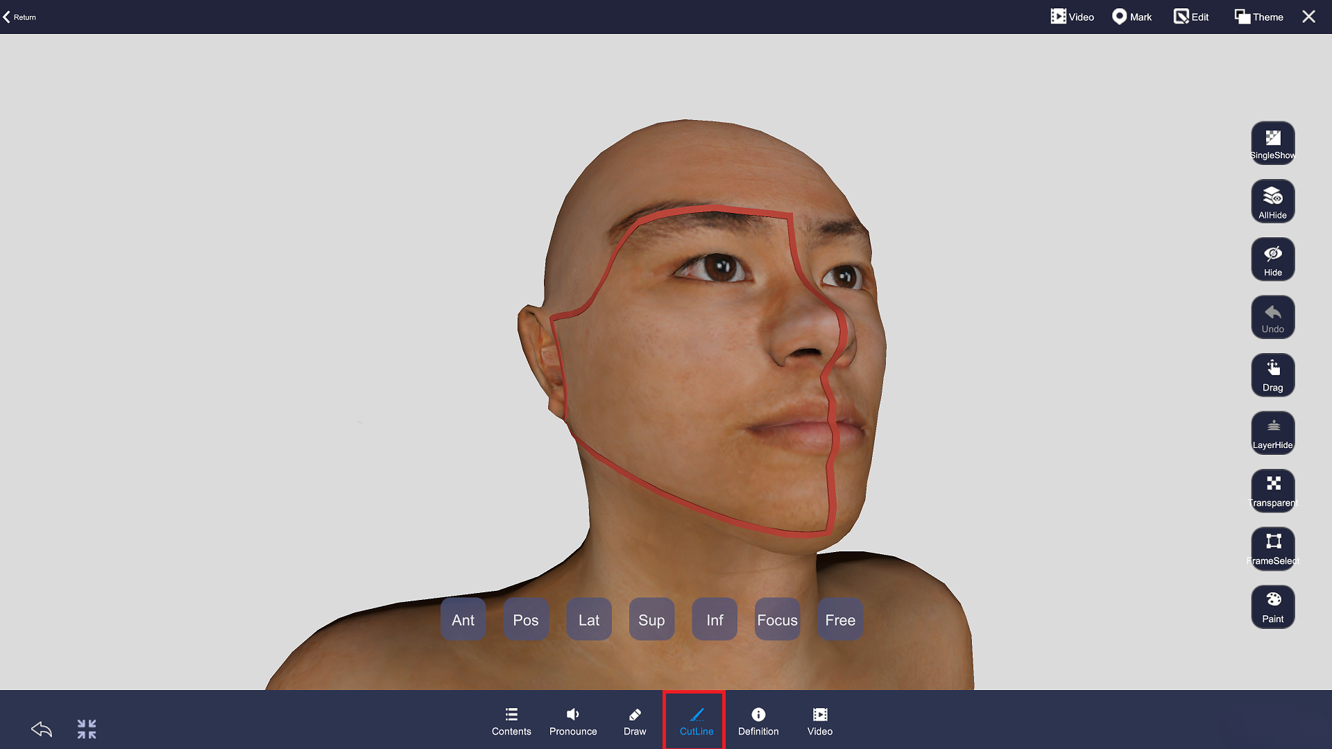 Unleashing the Power of 3D Table in Anatomy Education