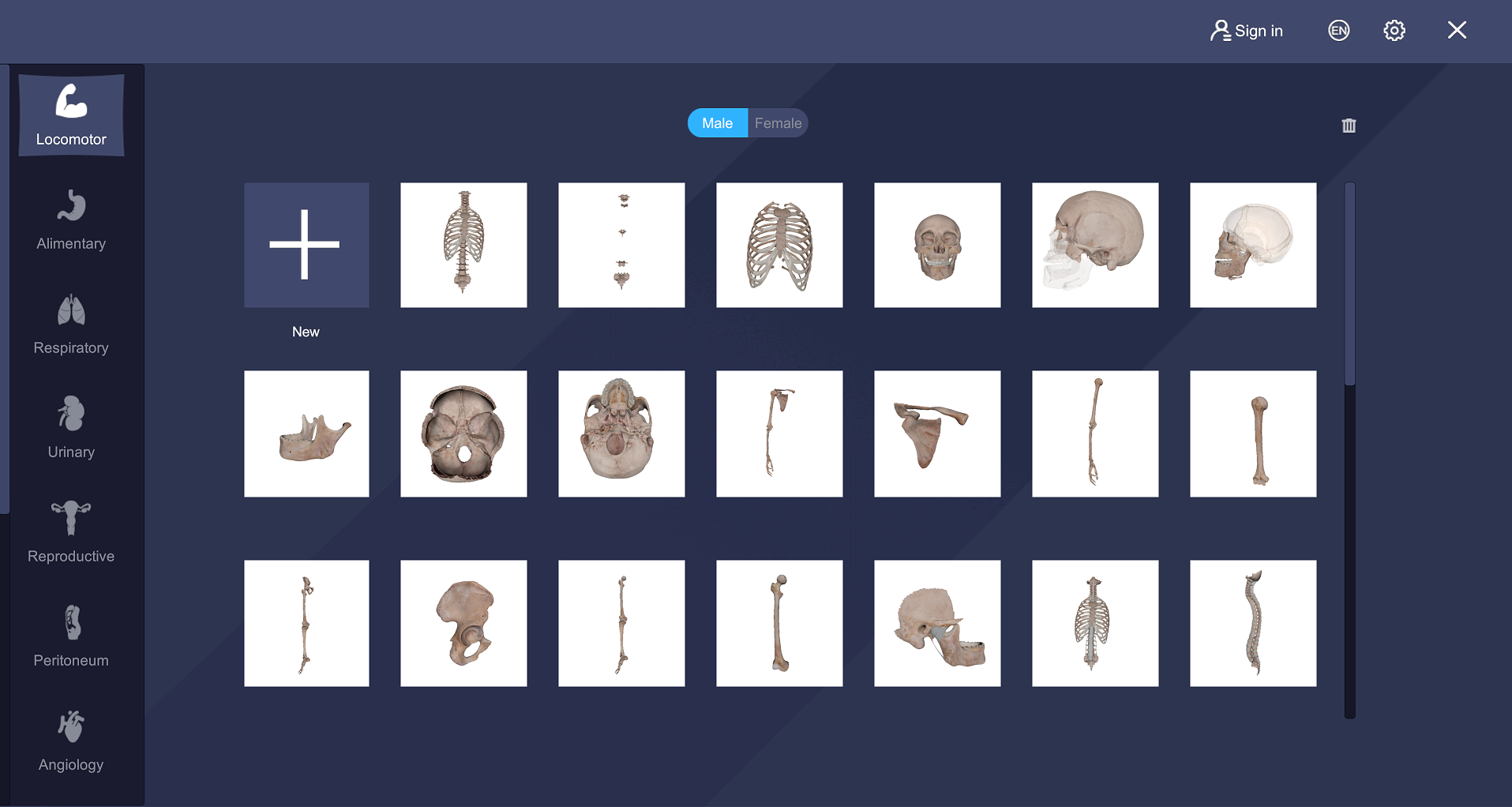 Unleashing the Power of 3D Table in Anatomy Education