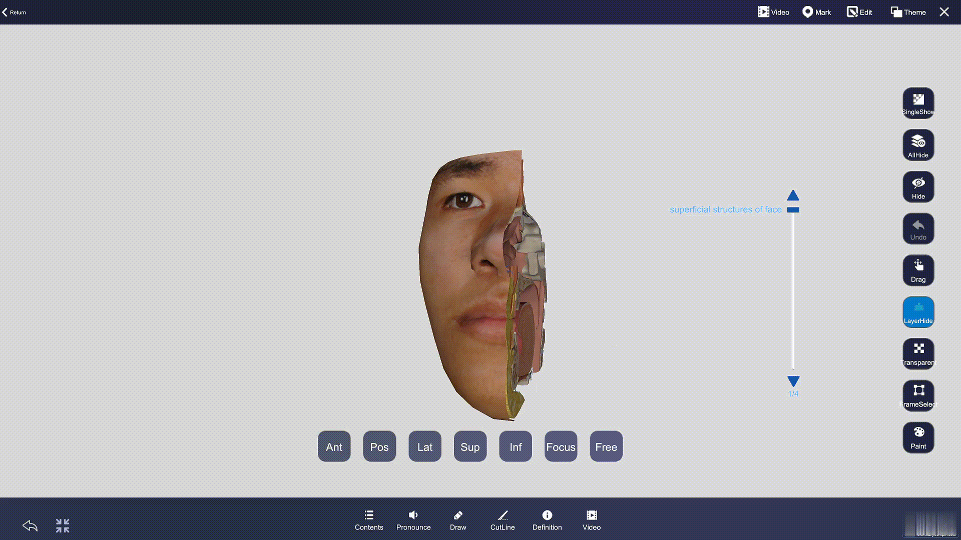 Unleashing the Power of 3D Table in Anatomy Education