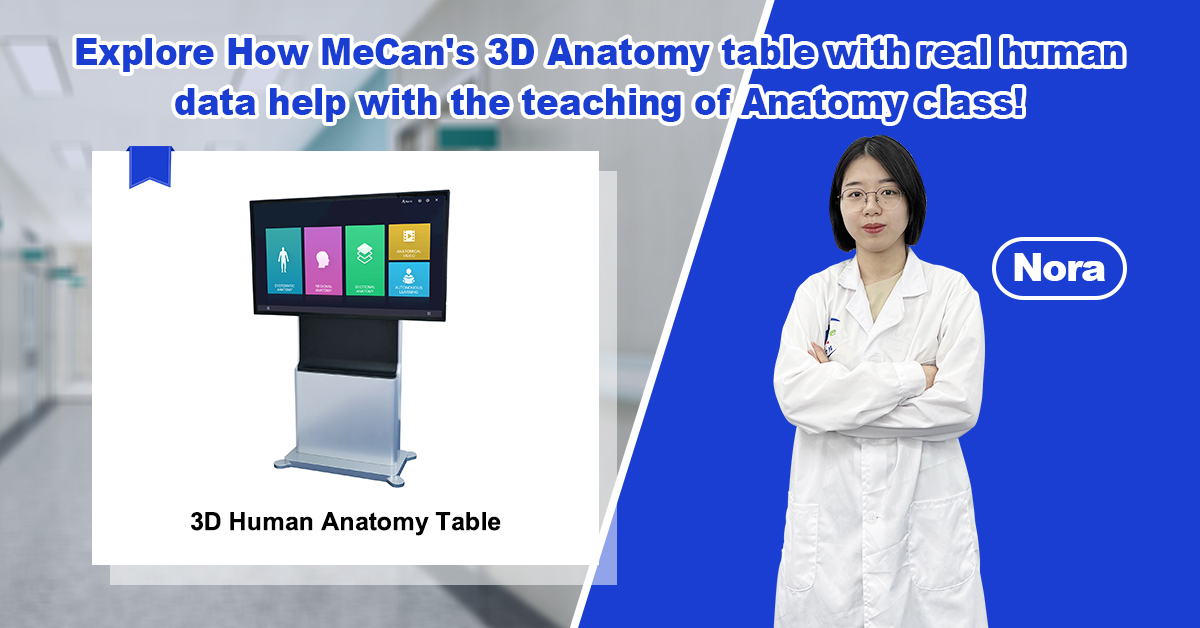 Unleashing the Power of 3D Table in Anatomy Education