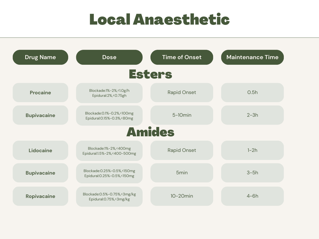 How does the anesthesiologist calculate the amount of anesthesia and ...
