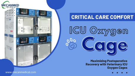 Critical Care Comfort: Maximizing Postoperative Recovery with ...