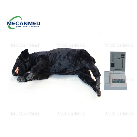 Master Canine CPR with Unmatched Realism: The MECANMED CE/Q-CPR05 ...